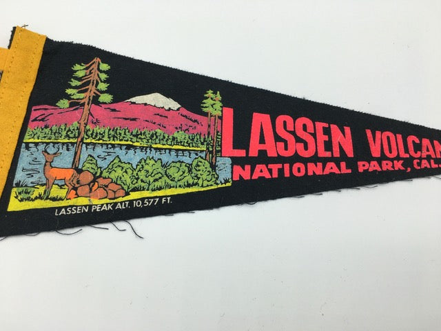Vintage USA National Park Felt Pennant - Americana - SOLD - – Vintage ...